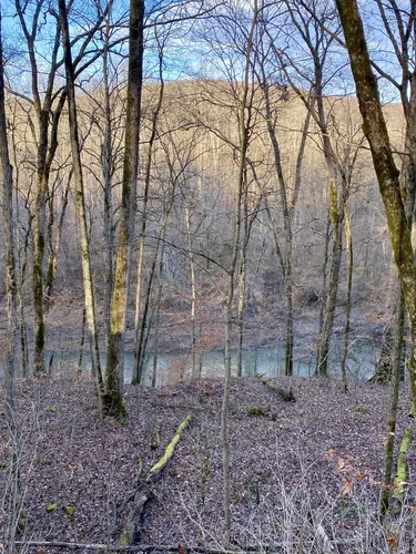 Best Horseback Riding Trails in Mammoth Cave National Park | AllTrails