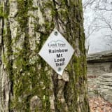 Rainbow Mountain Loop, Alabama - 1,698 Reviews, Map | AllTrails