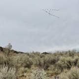 Echo Basin Loop, Washington - 77 Reviews, Map | AllTrails