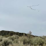 Echo Basin Loop, Washington - 77 Reviews, Map | AllTrails