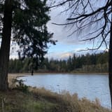 Lacamas Lake Heritage Trail, Washington - 749 Reviews, Map | AllTrails