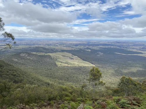 Best Hikes and Trails in Mount Cole State Forest | AllTrails