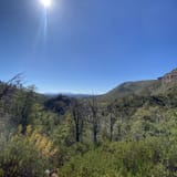 Ellison Creek Cascades, Arizona - 598 Reviews, Map | AllTrails