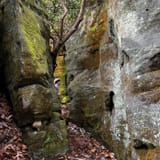 Rock Maze Trail, Maryland - 592 Reviews, Map | AllTrails