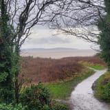 Caldy Village, Dee Estuary & Cubbins Green, Merseyside, England - 54 ...