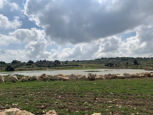 10 Best Hard Trails in Har Meron Nature Reserve | AllTrails