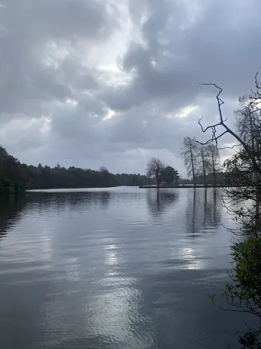 Best Hikes and Trails in Yateley Common Country Park | AllTrails