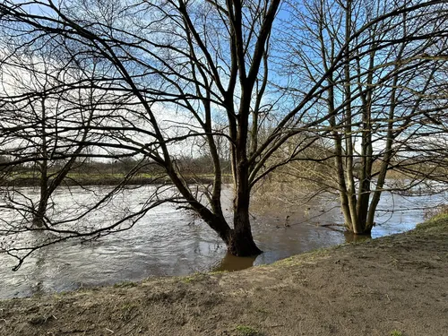 Best Hikes and Trails in Riverside Park | AllTrails