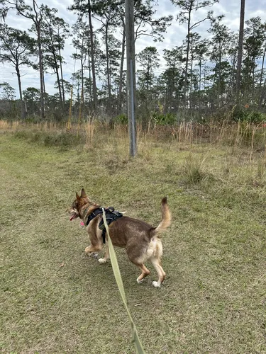 Best Hikes and Trails in Dade Battlefield Historic State Park | AllTrails