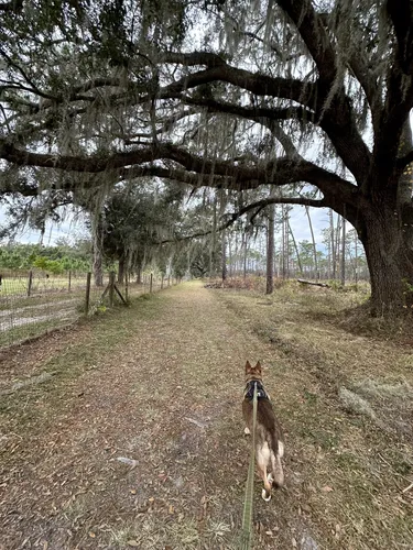 Best Hikes and Trails in Dade Battlefield Historic State Park | AllTrails