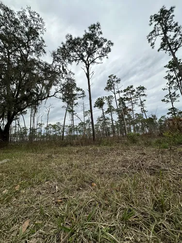 Best Hikes and Trails in Dade Battlefield Historic State Park | AllTrails