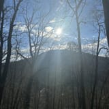 Chestnut Ridge Trail, Virginia - 470 Reviews, Map | AllTrails