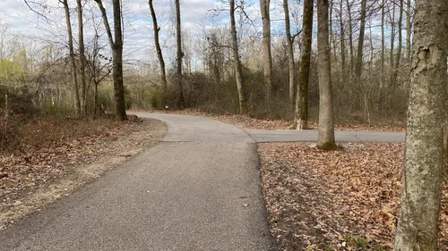 Best Hikes and Trails in Wolf River River Nature Area | AllTrails