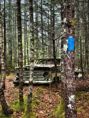 Best Hikes and Trails in Machias River Preserve | AllTrails