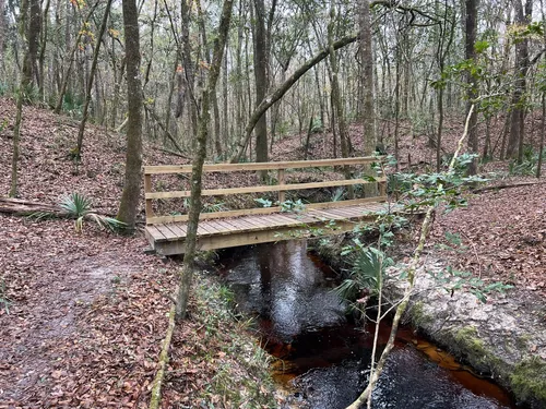 Best Hikes and Trails in Blue Creek Ravine Preserve | AllTrails
