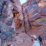 Johnson Canyon Trail, Utah - 954 Reviews, Map | AllTrails