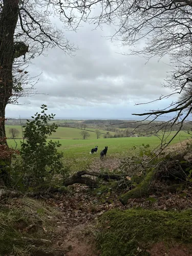Best Easy Trails in Quantock Hills National Landscape (AONB) | AllTrails