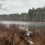 Pudding Pond Loop, New Hampshire - 350 Reviews, Map | AllTrails