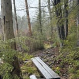 Pudding Pond Loop, New Hampshire - 350 Reviews, Map | AllTrails