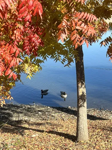 Best Hikes and Trails in Vasona Lake County Park | AllTrails