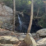 Odum Trail to Odum Point, Alabama - 181 Reviews, Map | AllTrails