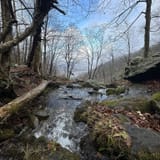 Lewis Spring Falls Trail, Virginia - 1,351 Reviews, Map | AllTrails