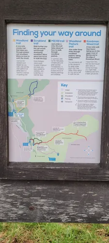 Best Hikes and Trails in Kirrough Forest | AllTrails