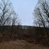 Mountain Tea State Forest Cabin and Pond, Indiana - 189 Reviews, Map ...