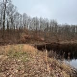 Mountain Tea State Forest Cabin and Pond, Indiana - 189 Reviews, Map ...