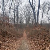 Mountain Tea State Forest Cabin and Pond, Indiana - 189 Reviews, Map ...