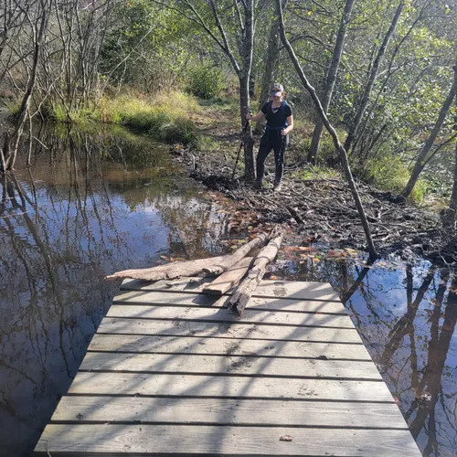 Best Hikes and Trails in Big Hill Pond State Park | AllTrails