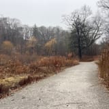 Moore Park Ravine Trail, Ontario, Canada - 1,248 Reviews, Map | AllTrails