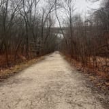 Moore Park Ravine Trail, Ontario, Canada - 1,248 Reviews, Map | AllTrails