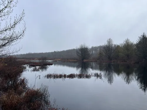 Best Hikes and Trails in The Nature Conservancy Thomas Darling Preserve ...