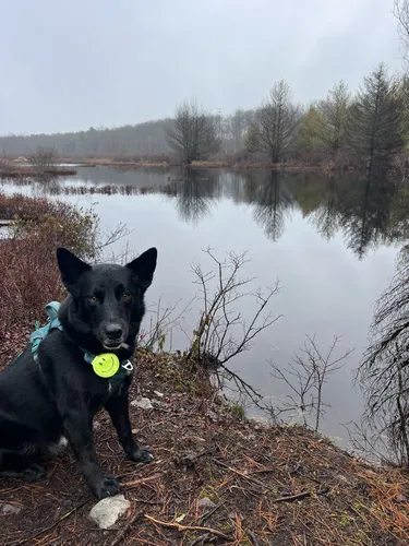 Best Hikes and Trails in The Nature Conservancy Thomas Darling Preserve ...
