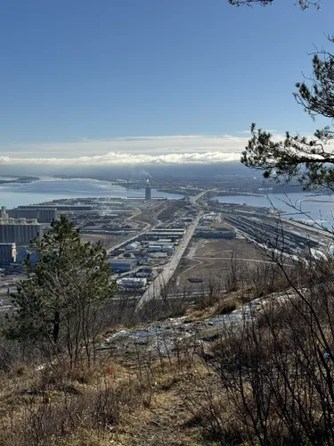 Best Hikes and Trails in Enger Park | AllTrails