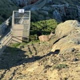 Point Reyes Lighthouse Visitor Center Trail, California - 637 Reviews ...