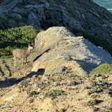 Point Reyes Lighthouse Visitor Center Trail, California - 637 Reviews ...
