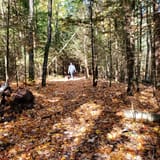Raven Red Trail Loop, Wisconsin - 199 Reviews, Map | AllTrails