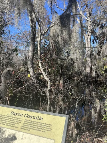 Best Hikes and Trails in Jean Lafitte National Historical Park and ...