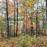 Raven Red Trail Loop, Wisconsin - 199 Reviews, Map | AllTrails