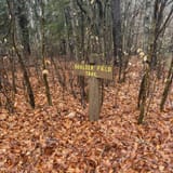 Boulder Field Trail, Pennsylvania - 1,094 Reviews, Map | AllTrails