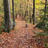 Raven Red Trail Loop, Wisconsin - 199 Reviews, Map | AllTrails