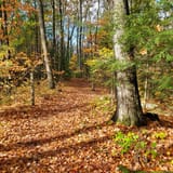 Raven Red Trail Loop, Wisconsin - 199 Reviews, Map | AllTrails