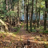 Raven Red Trail Loop, Wisconsin - 199 Reviews, Map | AllTrails