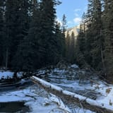 Fenland Trail, Alberta, Canada - 778 Reviews, Map | AllTrails