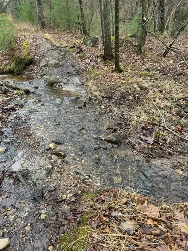 Best Easy Trails in Porter/Howard Reservoir Passive Recreation Area ...