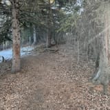 Big Hill Springs Trail, Alberta, Canada - 785 Reviews, Map | AllTrails