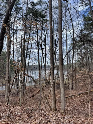 Best Hikes and Trails in Lake Johnson Nature Park | AllTrails