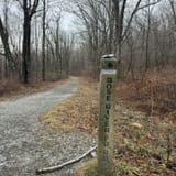 Rose River Trail, Virginia - 4,331 Reviews, Map | AllTrails